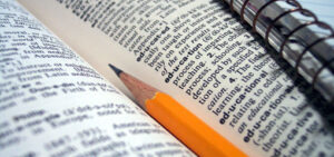 The Best English O Level Notes - O and A Level Notes